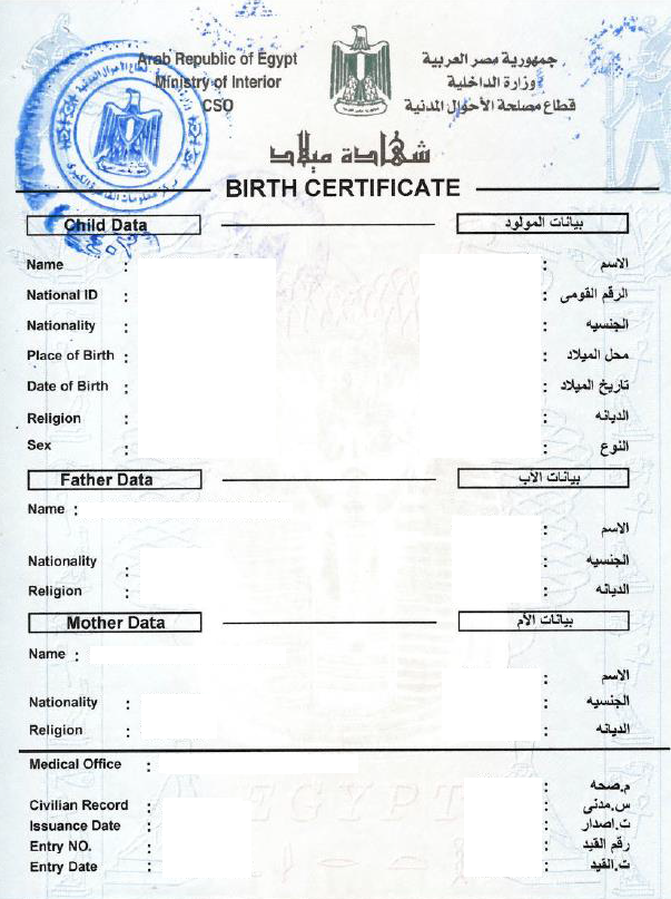 Legalization Process